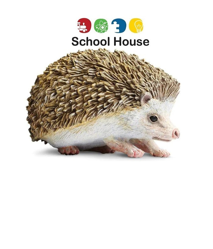 Hedgehog – School House GB